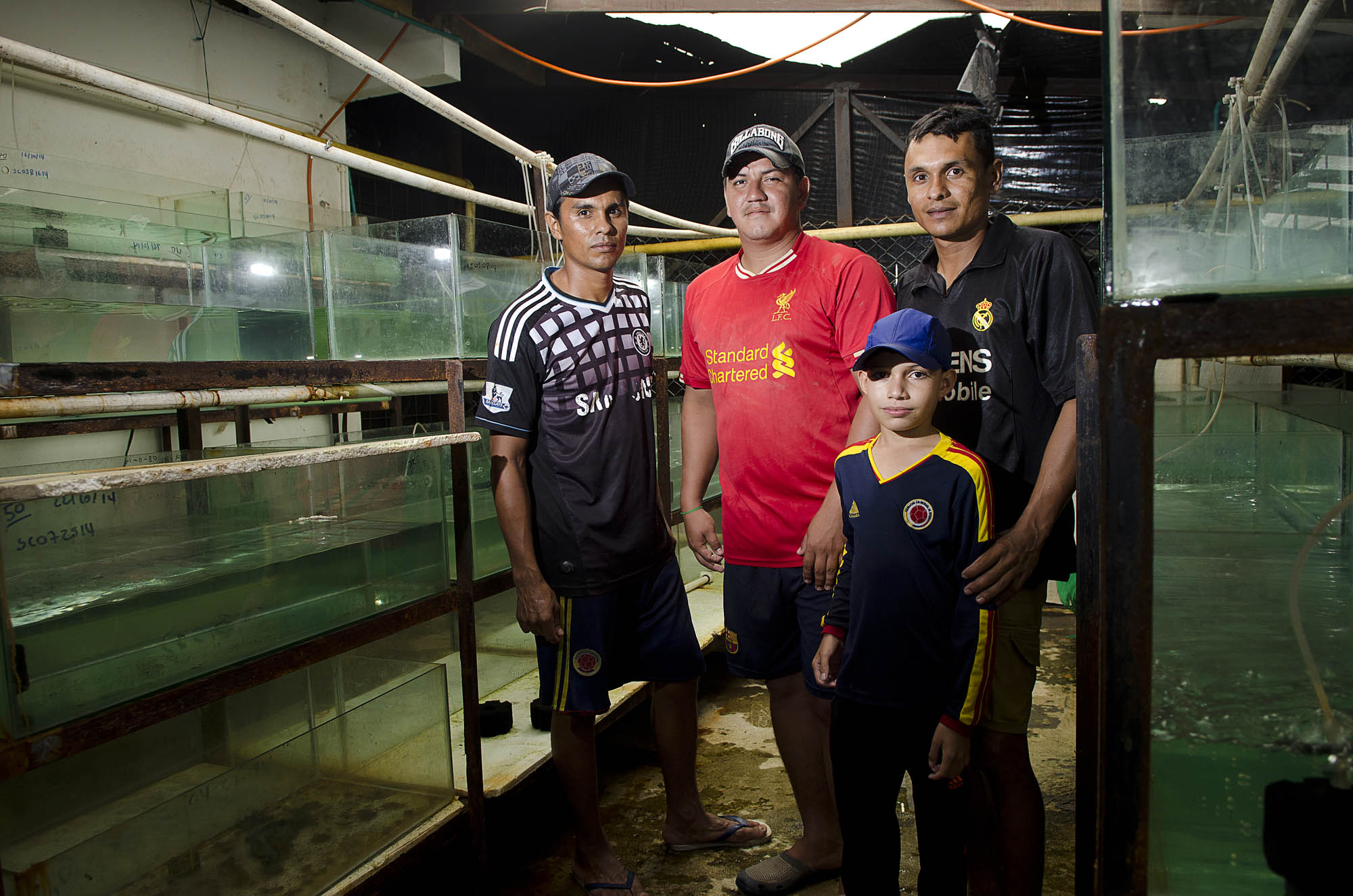 Hallan descendientes del dragón en el Amazonas colombiano