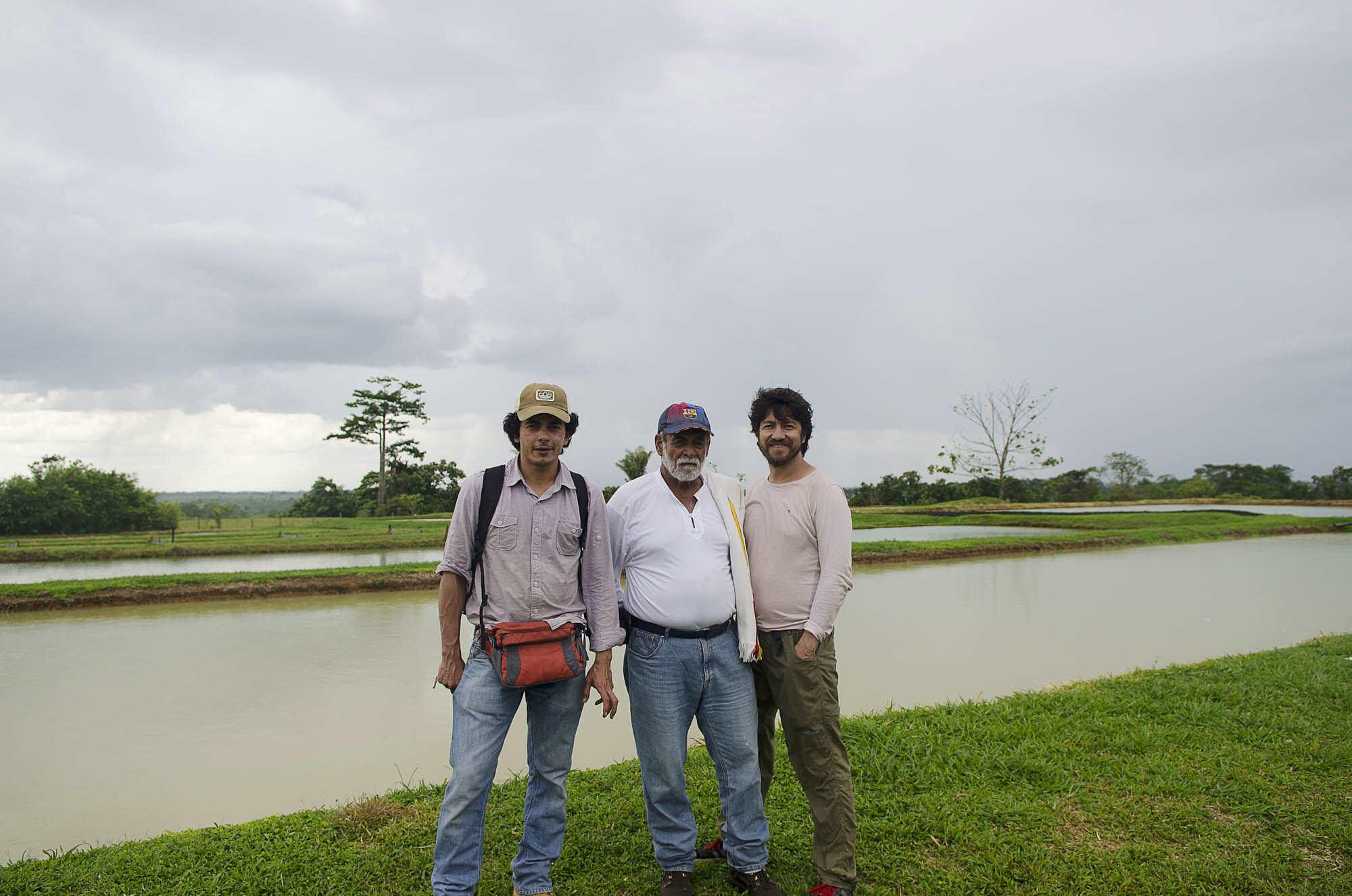 Hallan descendientes del dragón en el Amazonas colombiano