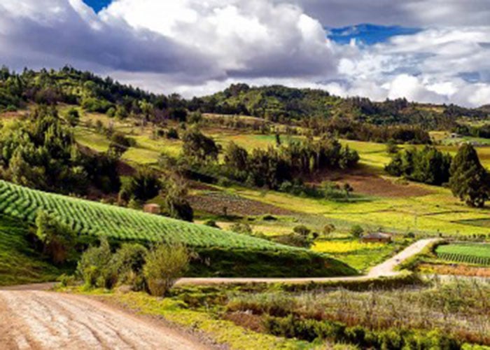 Una apuesta colectiva por la reactivación económica de Boyacá