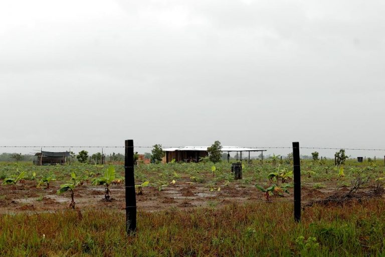 Las 10 mil hectáreas del estado que están invadidas en el Meta