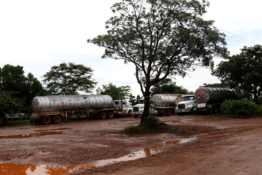 Las 10 mil hectáreas del estado que están invadidas en el Meta