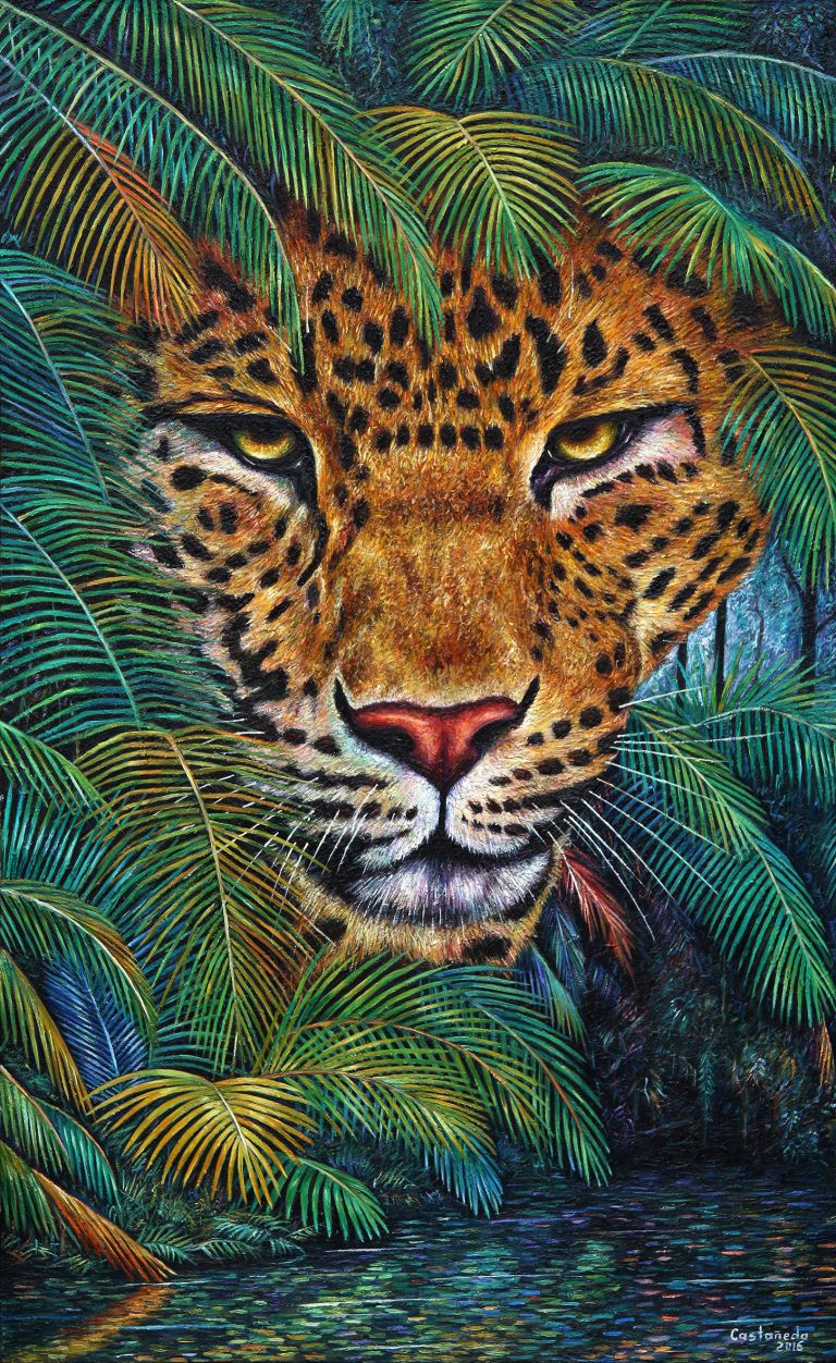 Wilson Castañeda y sus cuadros de la fauna y flora colombiana