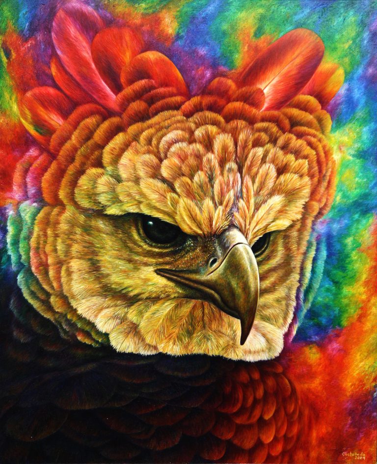 Wilson Castañeda y sus cuadros de la fauna y flora colombiana