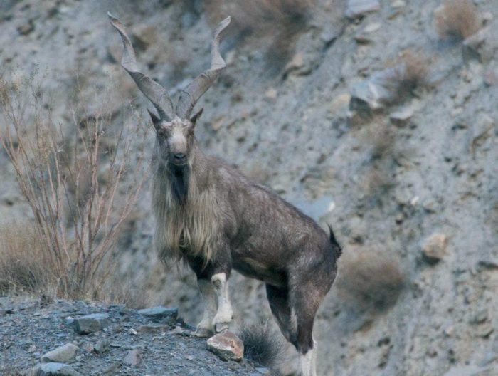El turista más asqueroso del mundo