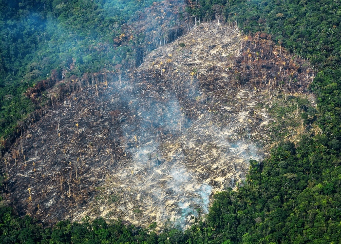 La agonía de la tierra en medio de la pandemia del COVID-19