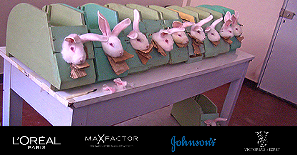 Conejos y monos se salvaron de seguir sirviendo para ensayar cosméticos ...