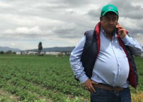 El gigante de la papa en Colombia a quien la crisis también atropelló