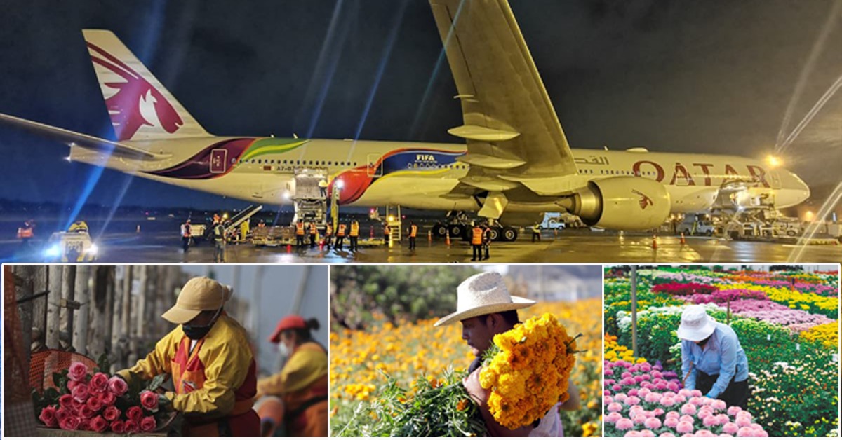 El imponente avión de Qatar Airways transformado para mover flores ...