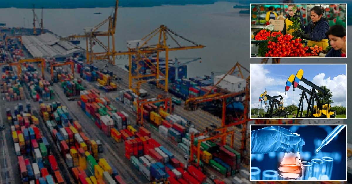 Petróleo, químicos y flores: lo que más exporta Colombia