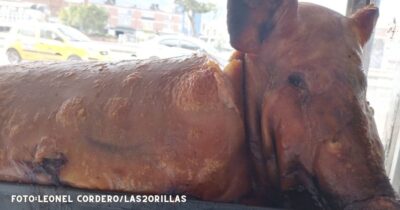 Festival de la lechona: cuándo y dónde se realizará