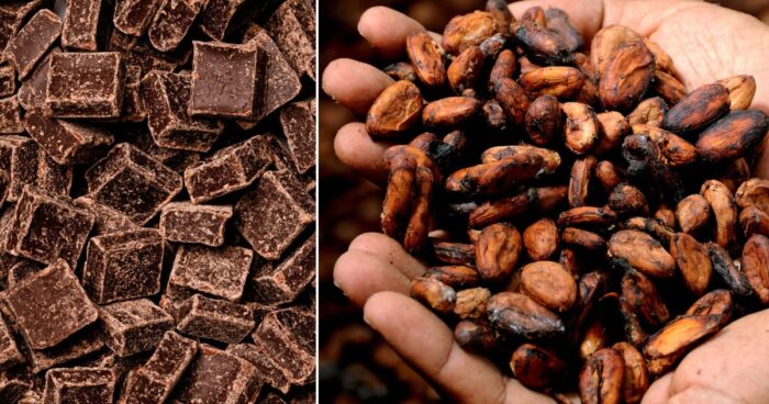 Chocoshow la gigante feria en Bogotá para probar y disfrutar de los ...