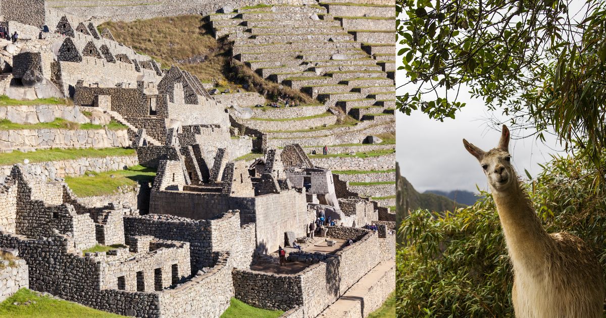 Esto le cuesta como colombiano ir a Machu Picchu; es más barato de lo ...