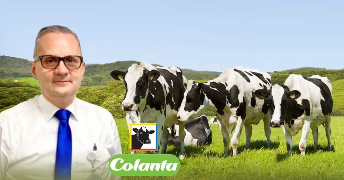 ¿Cuál es la marca de leche preferida y la que más compran los colombianos?