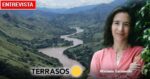 Cómo inició Terrasos, una empresa que se volvió líder en conservar el ...