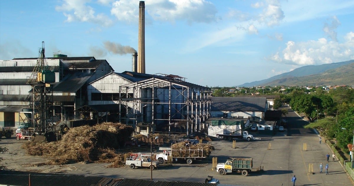 Cementos Argos y un ingenio azucarero que expropió Chávez y Maduro ...