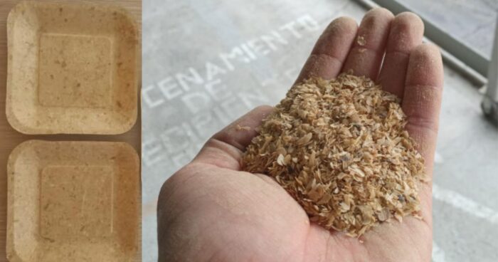 Vasos hechos de cascarilla de café, un invento hecho en Colcafé que los Gilinski van a aprovechar