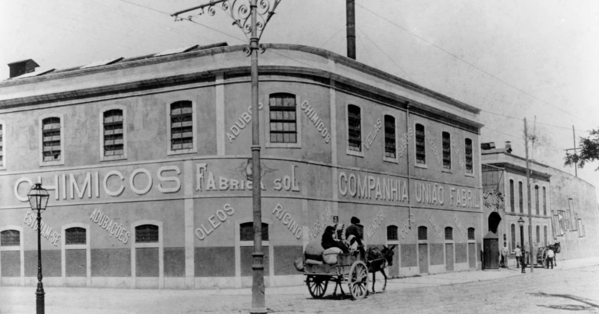Sovena: la empresa que montó en Pereira una de las plantas de aceite de aguacate más grandes del ...