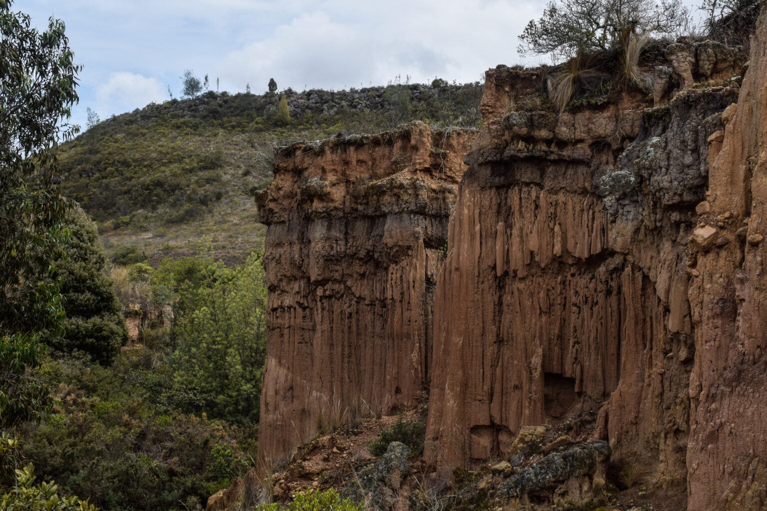 Tres actividades imperdibles para hacer en Nemocón, el encantador ...