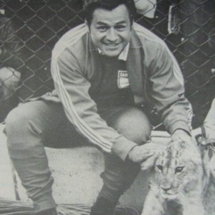 Mascota de Santa Fe: el día que Daniel Samper Pizano convirtió al león ...