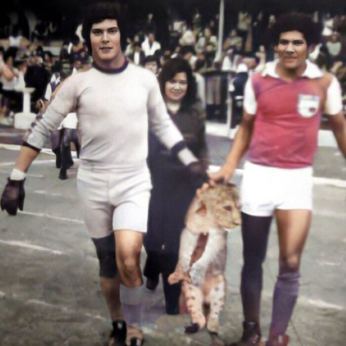 Mascota de Santa Fe: el día que Daniel Samper Pizano convirtió al león ...