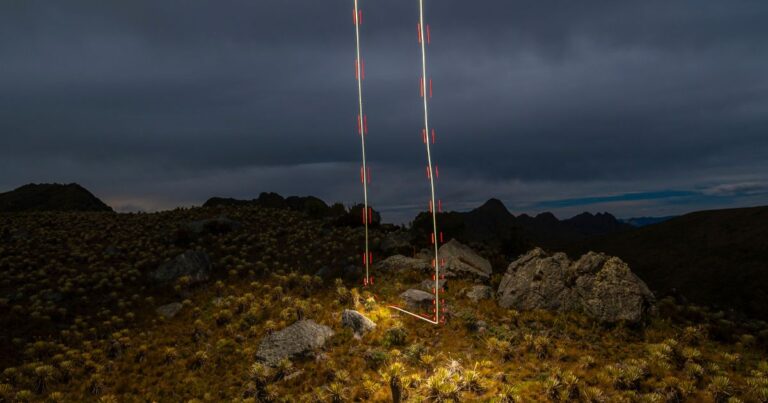 Él es Kevin Molano: El fotógrafo colombiano que conquistó los "Oscar de ...
